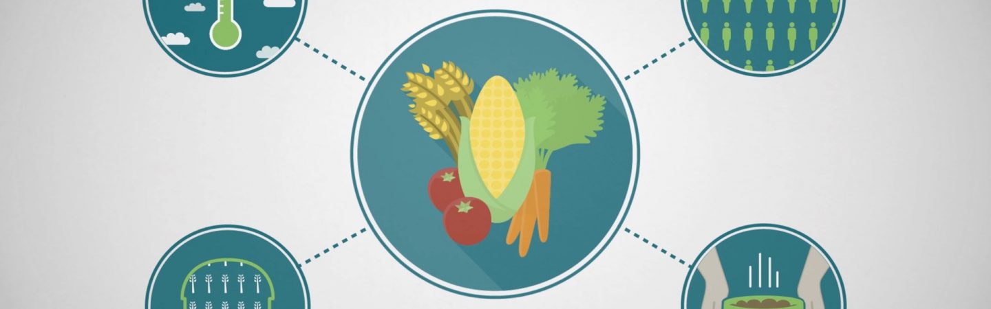 Webinar: Improving Food Security and Nutrition Through Integrated ...