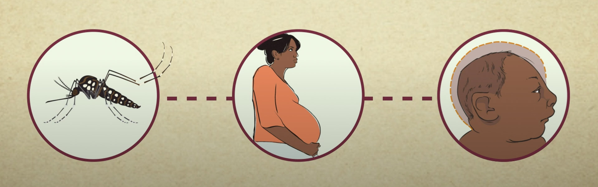 Effective Behaviors to Prevent Zika | PRB