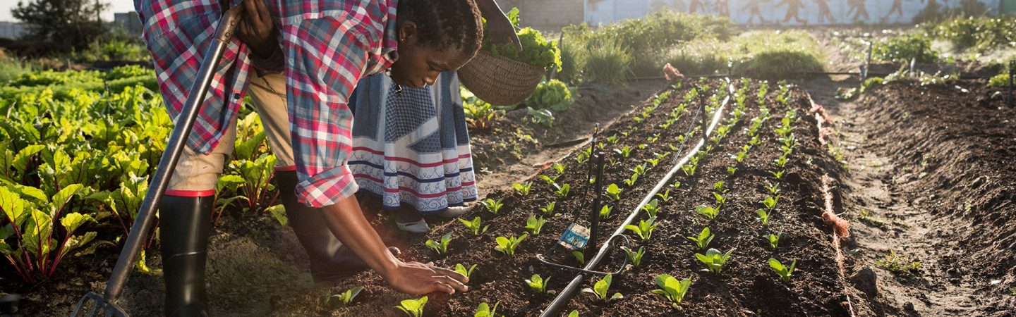 Improving Nutrition and Food Security Through Family Planning | PRB