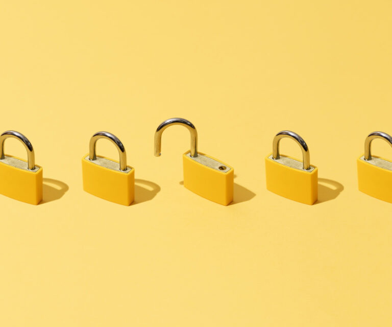 Disclosure Avoidance in the 2020 Census: What Should Data Users Know ...